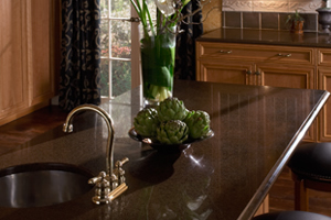 Silestone Coffee Brown Quartz Countertops $44.99 Installed, San ...